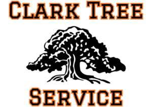 Contact Us - Clark Tree Service Inc