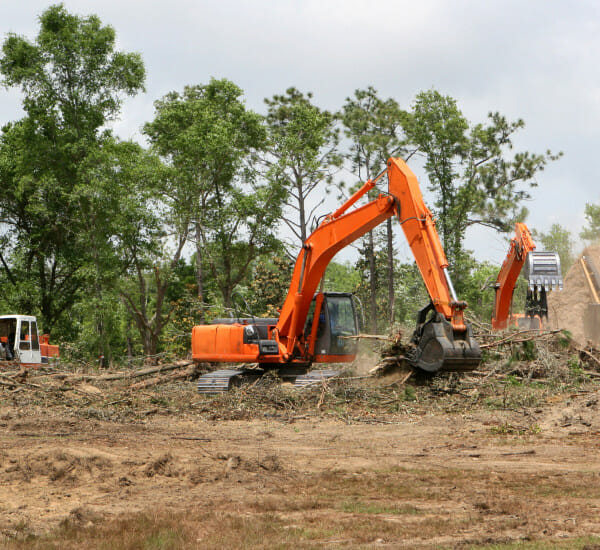 Land Clearing Edgewood KY | Clark Tree Service